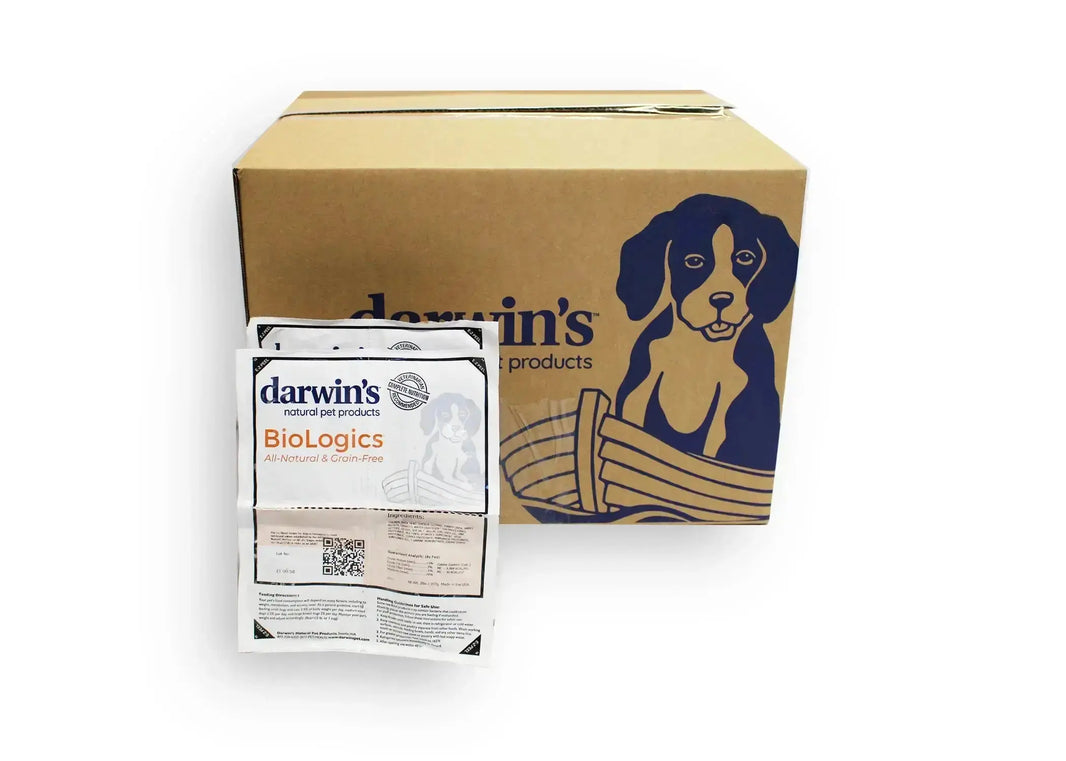Curated Boxes for Dogs – Darwin's