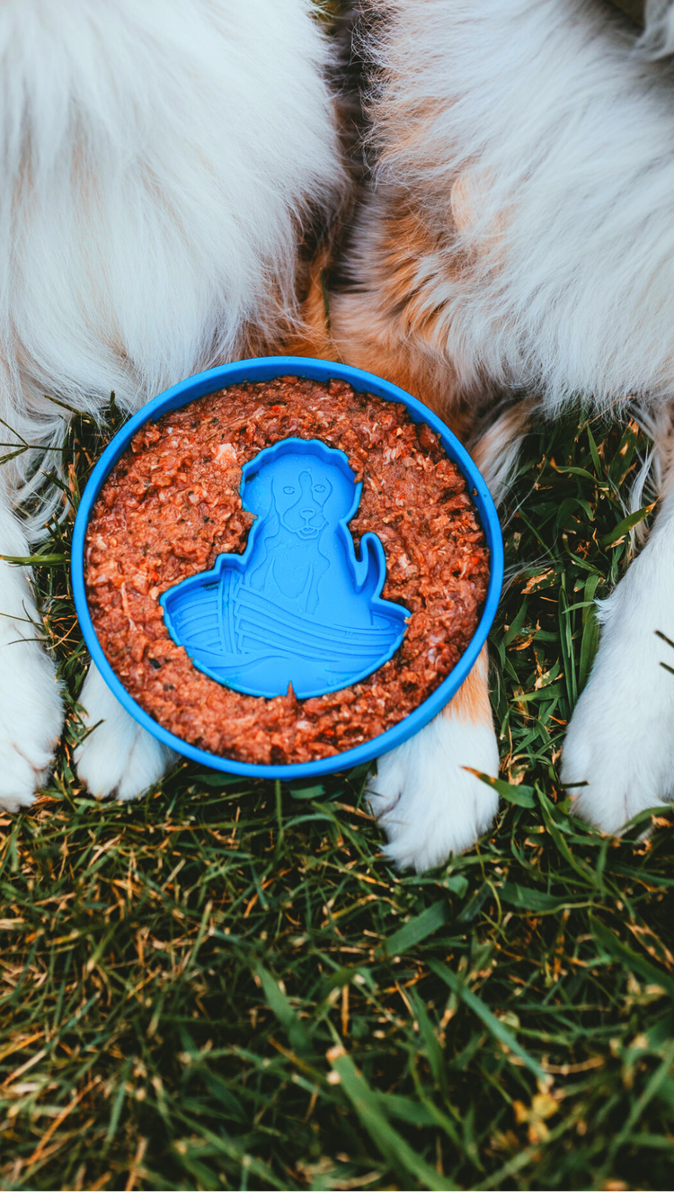 Raw vs. Cooked Pet Food: Why Choose Darwin's